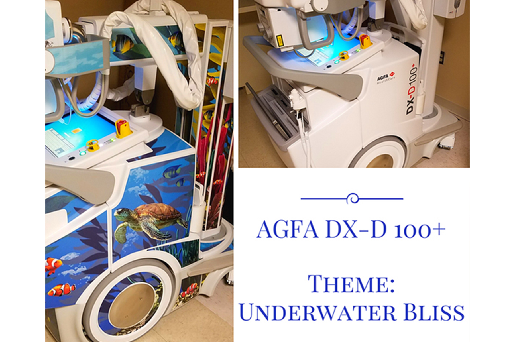 Johnson City Medical Center - MR CT Immersive Patient Experience ...